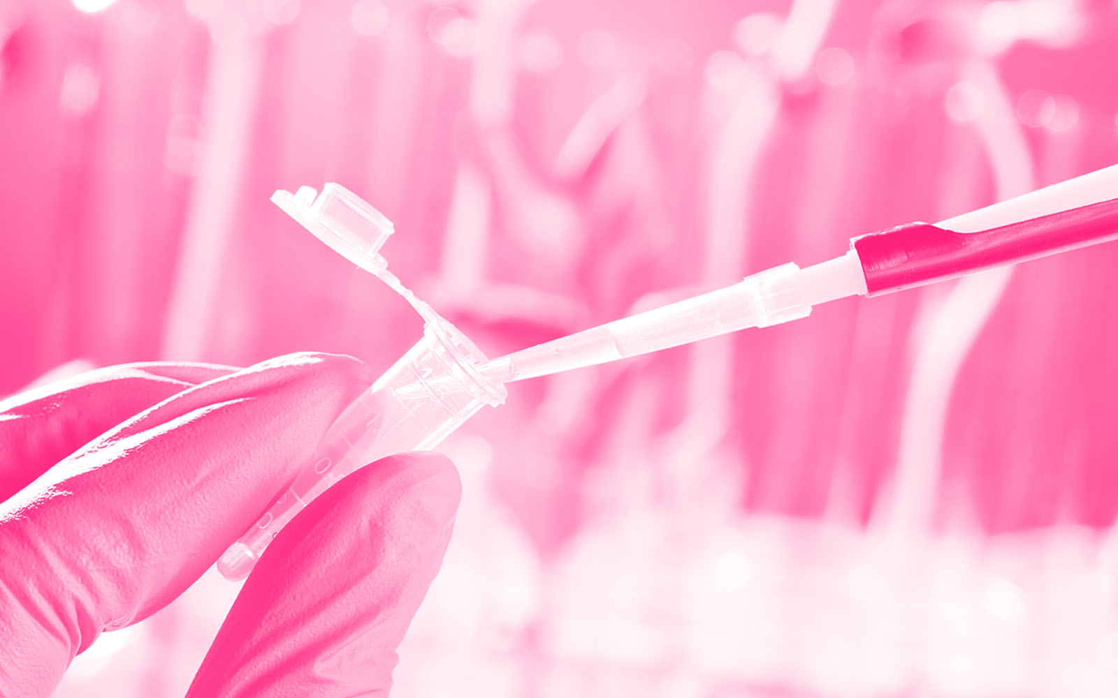 AgriFood - Creative Destruction Lab