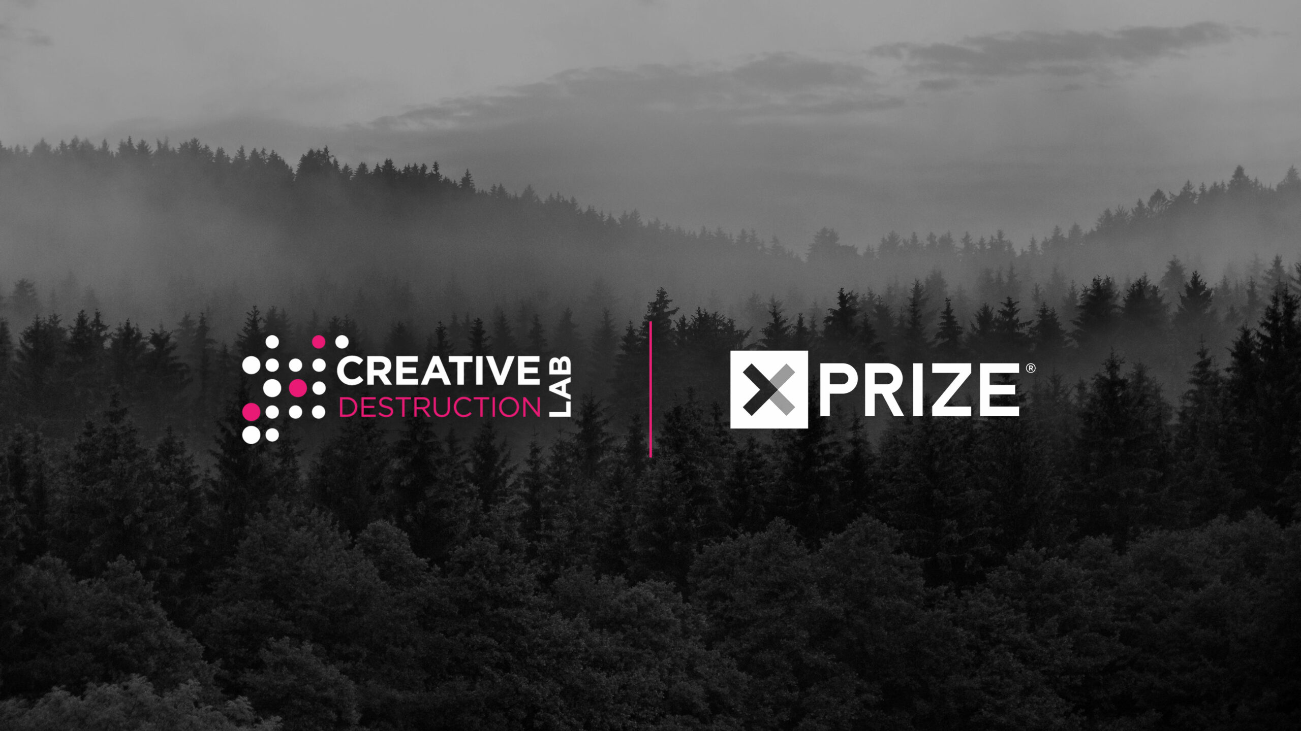 XPRIZE and Creative Destruction Lab Join Forces to Accelerate Carbon Removal Solutions ...