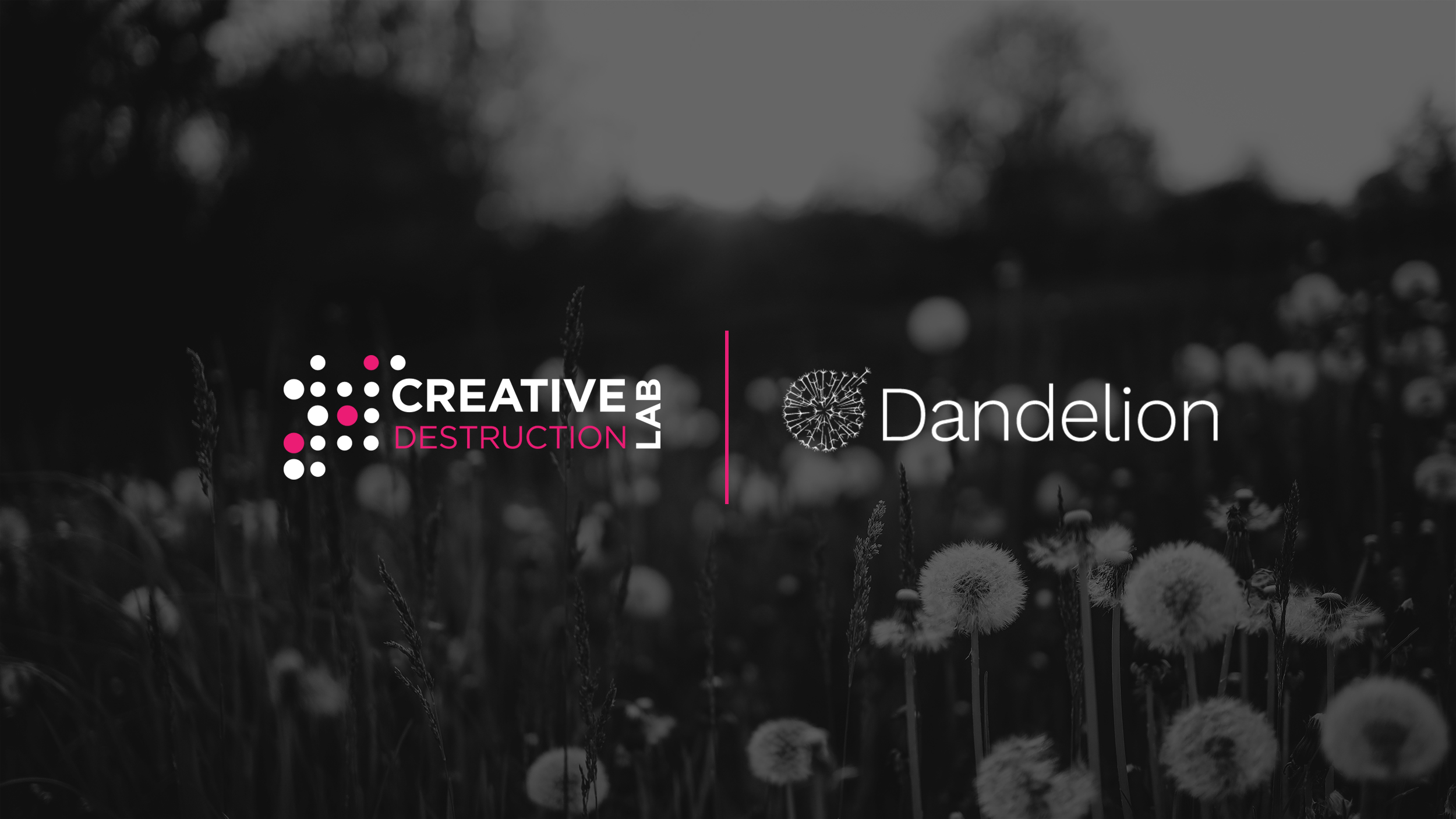 Creative Destruction Lab and Dandelion Health partner to unlock AI-enabled innovation in ...
